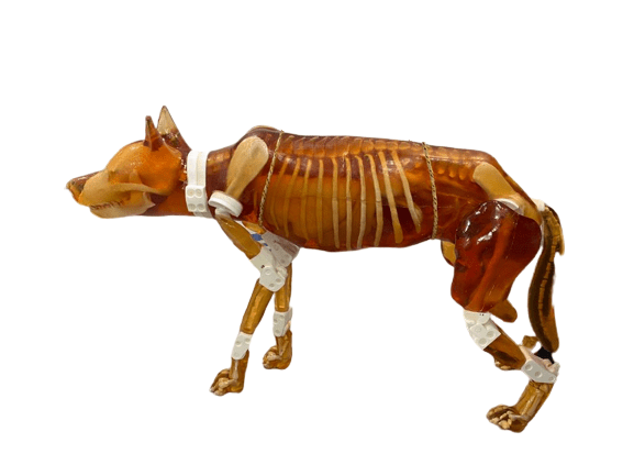 Dog Phantom – Gamma Gurus