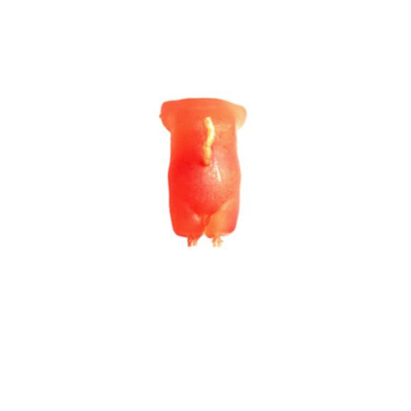Newborn Torso Phantom – Gamma Gurus